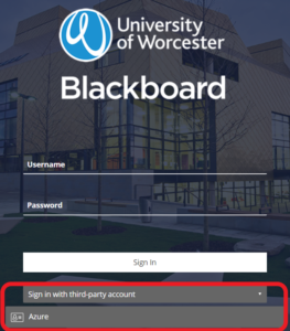 Partner Students Blackboard Access – Digital Services